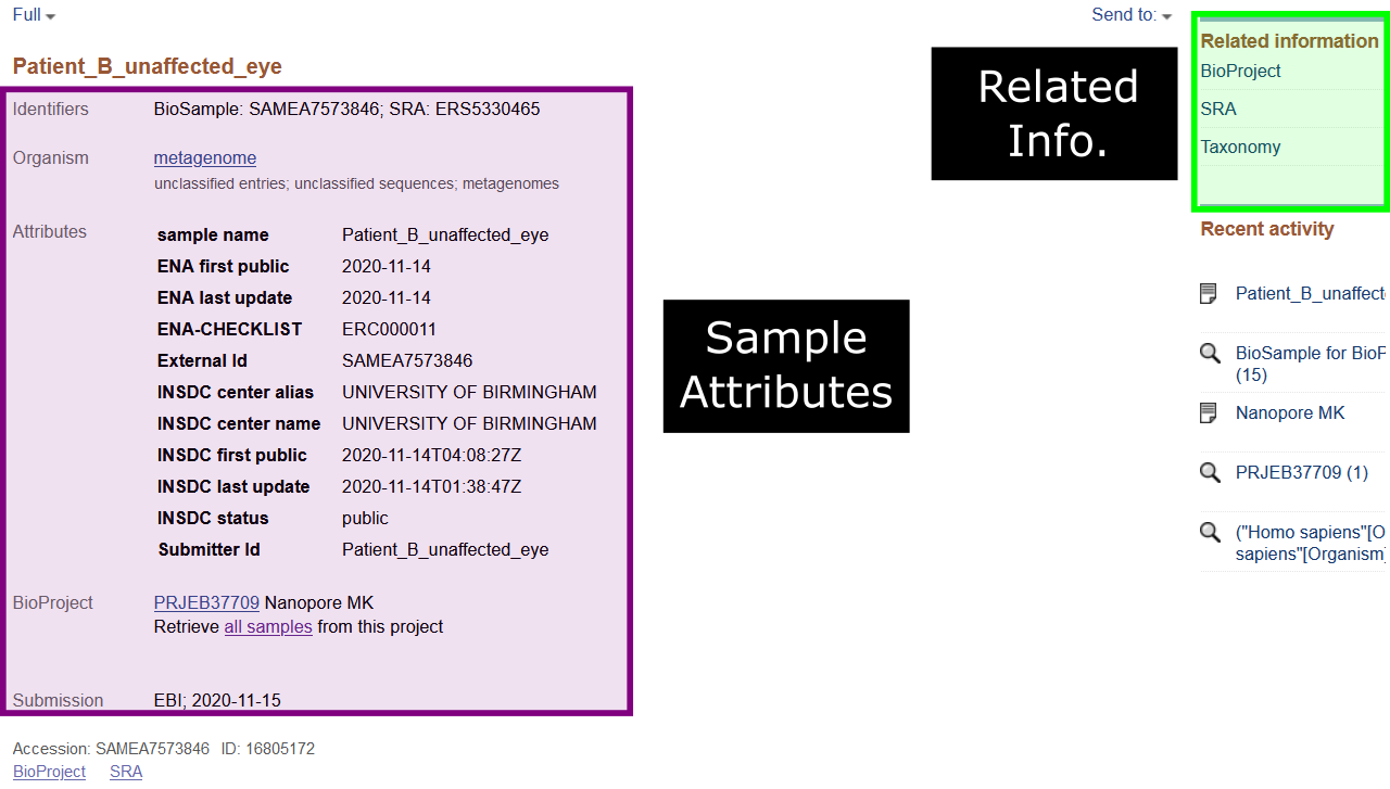 Searching For SRA Data - Tufts TTS Research Technology Bioinformatics Workshops