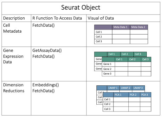 0X seurat manipulation - Tufts TTS Research Technology Bioinformatics Workshops