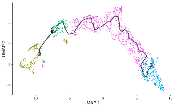 Monocle3 Workflow and Trajectory Analysis - Tufts TTS Research Technology Bioinformatics Workshops